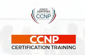 A Best Guide for a Networking Certification Training